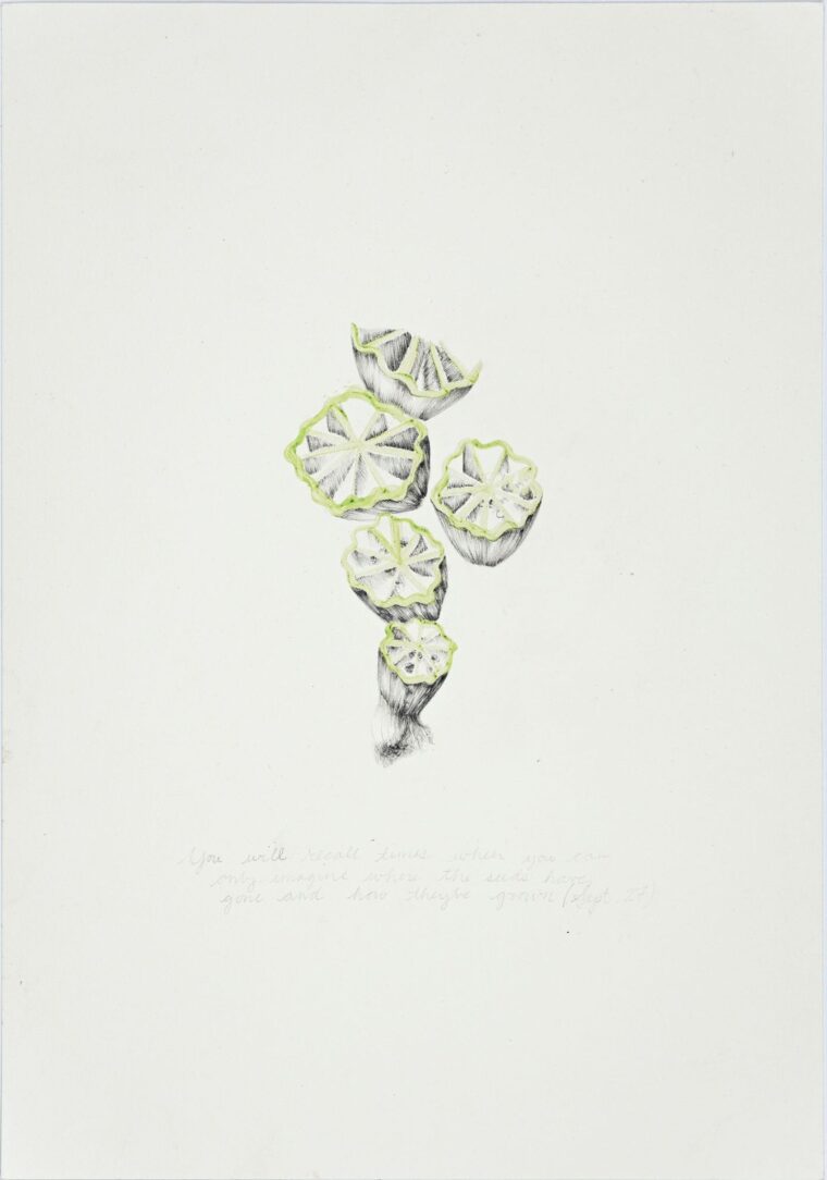 Artist Temitayo Ogunbiyi in Conversation with Siddhartha Mitter - The Arts Club of Chicago